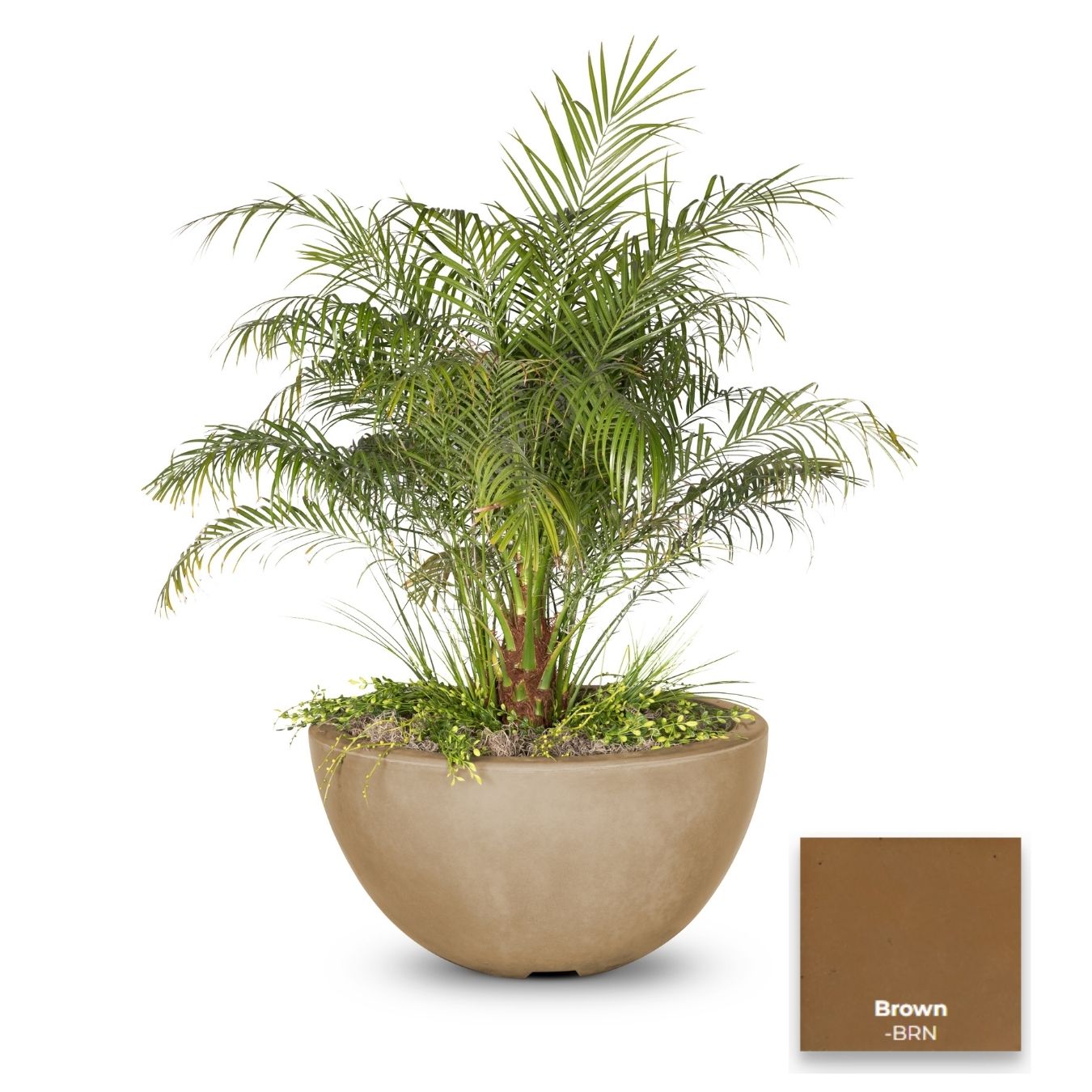 Buy Now Luna Concrete Planter Bowl – American Fire Features